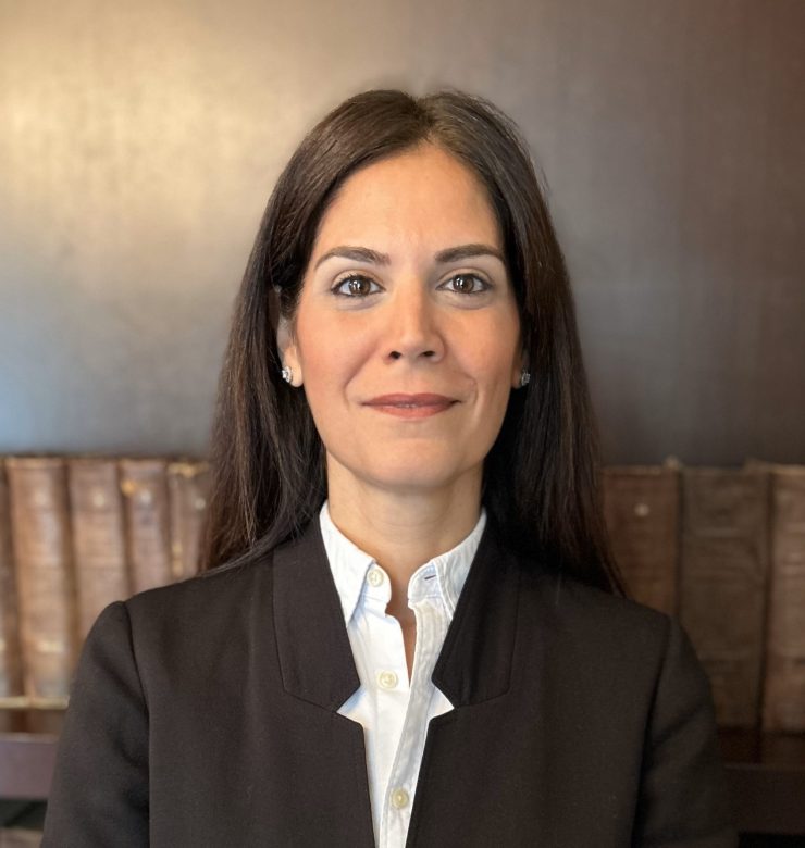 Our Team – Pekin | Bayar | Mizrahi Law Firm